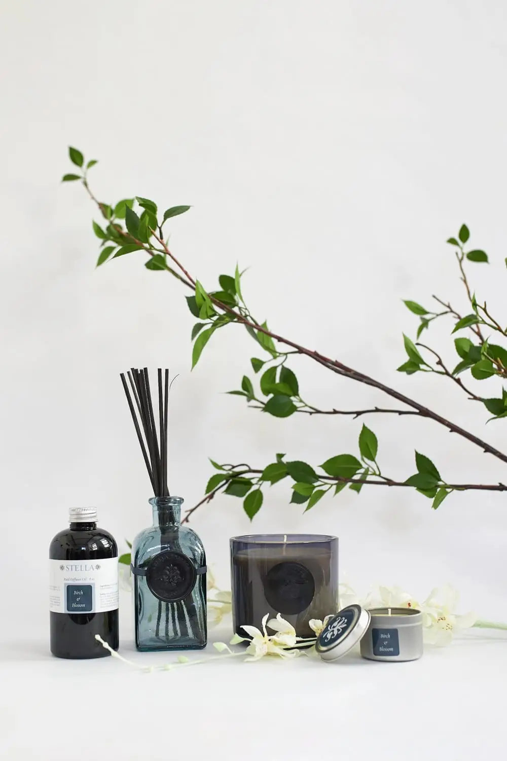 The Stella Scent Series: Spring/summer Edition – Stella Tribeca