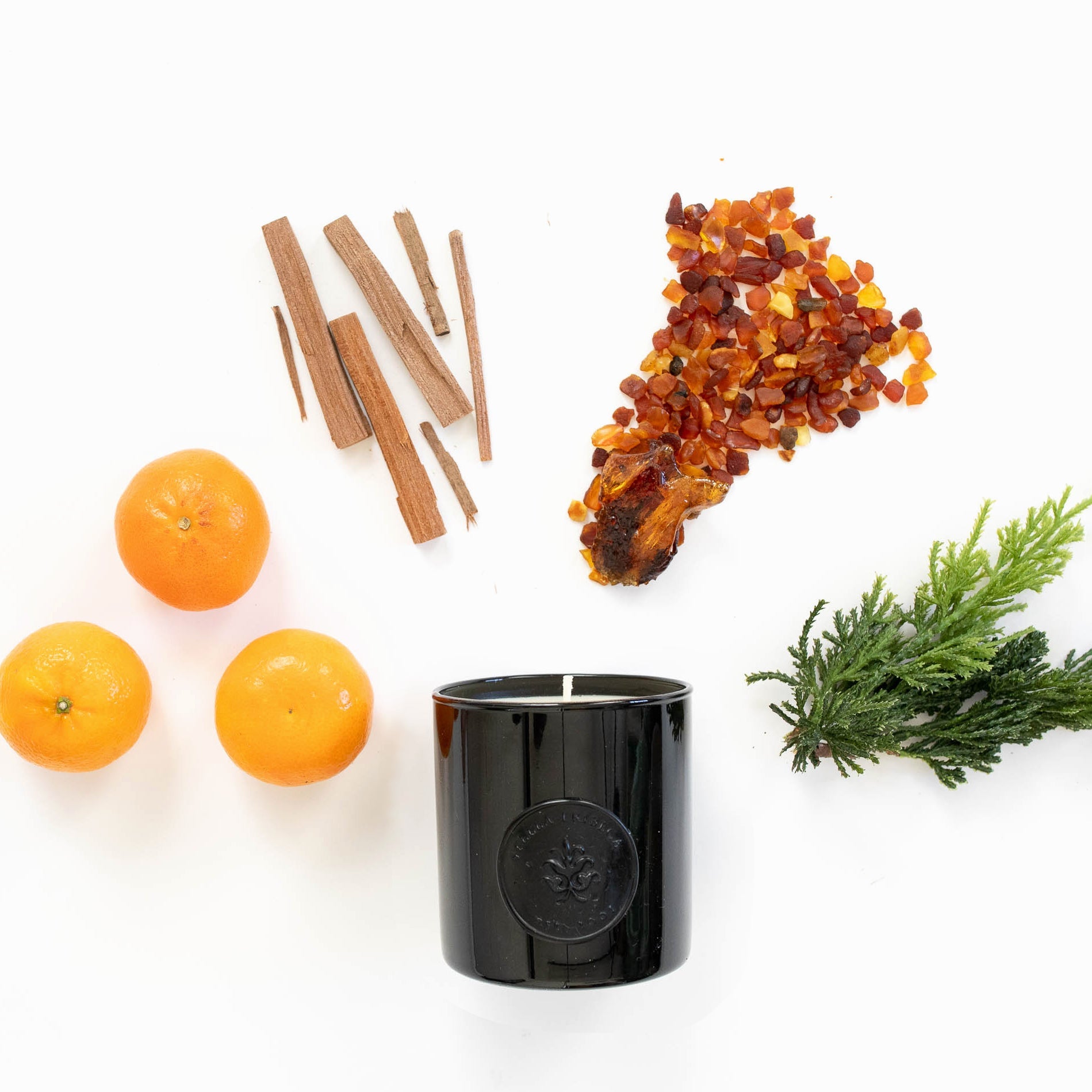 Stella Tribeca | Fragrance | Amber & Cypress Collection