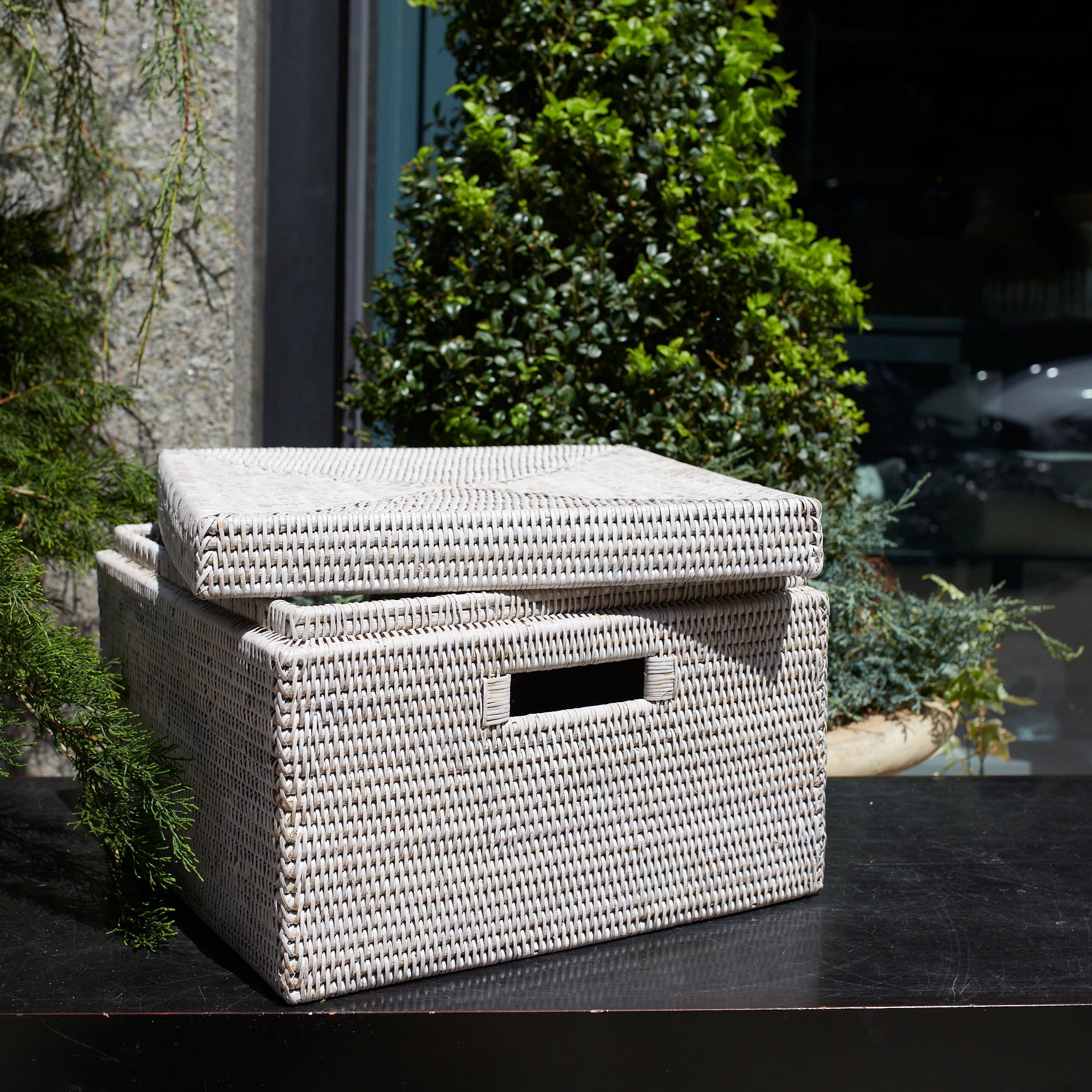 Stella Tribeca | Baskets | Lidded Baskets with Cutout Handles