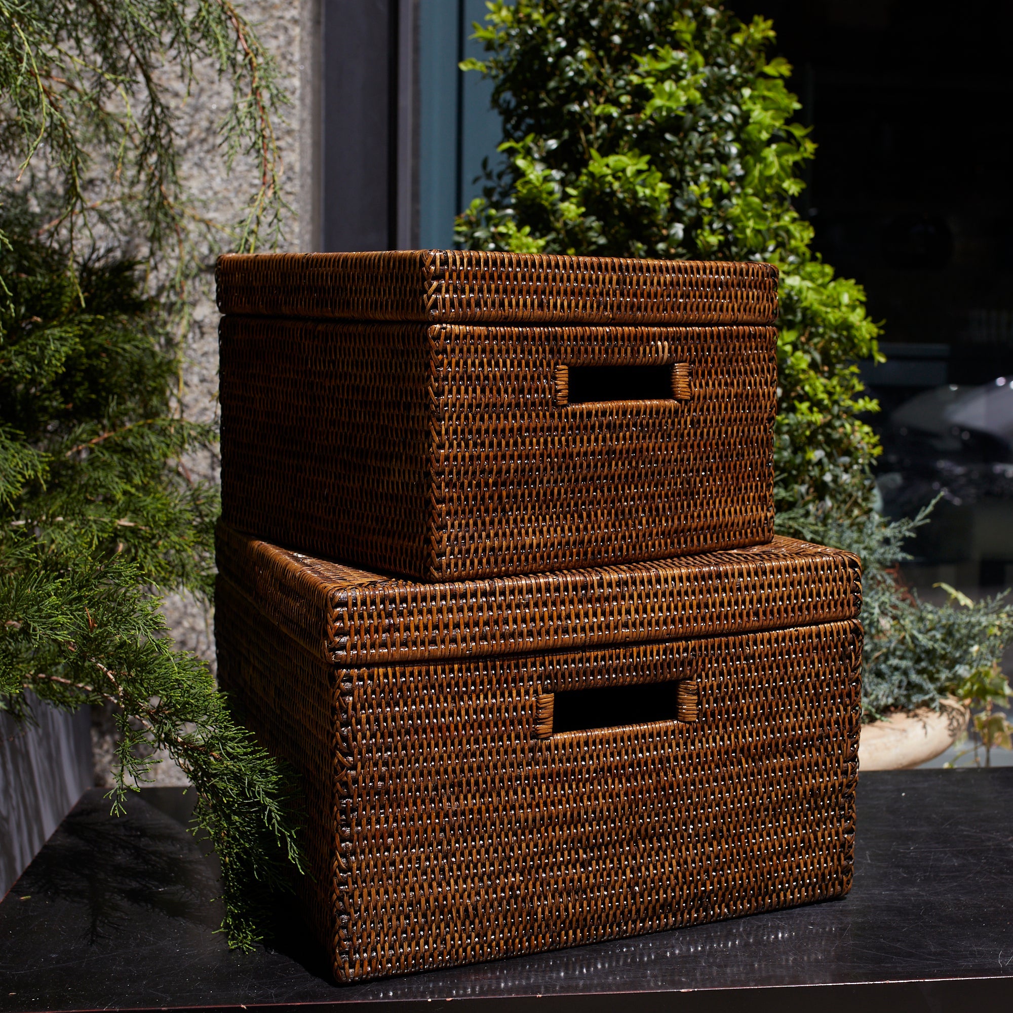 Stella Tribeca | Baskets | Lidded Baskets with Cutout Handles